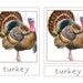 TURKEY ANATOMY 2 Part Vocabulary Cards Plus Poster - Etsy