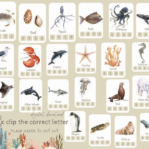 OCEAN Animal Morning Basket - Etsy