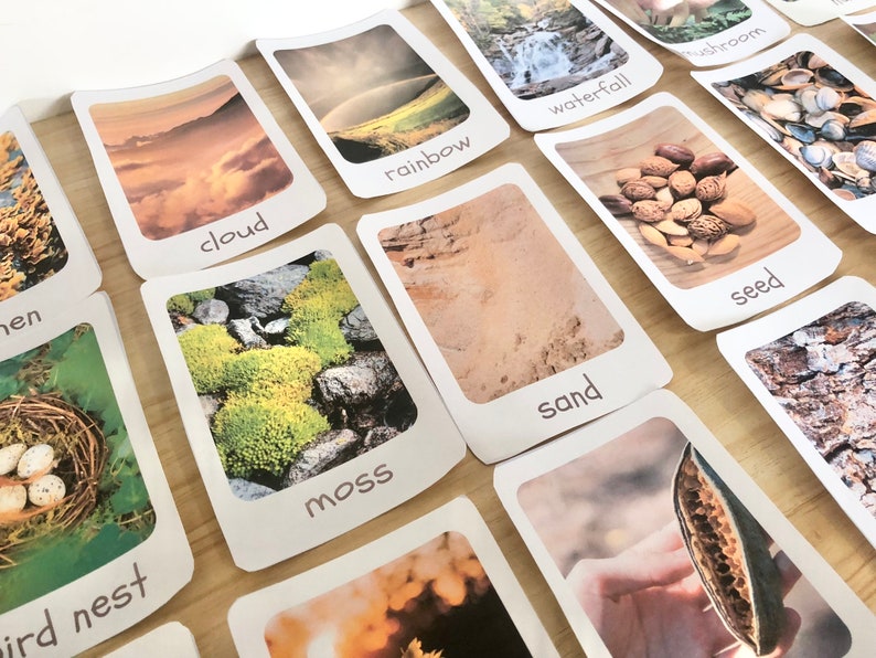 Reggio Emilia Inspired NATURE FLASH CARDS Real Life Nature - Etsy