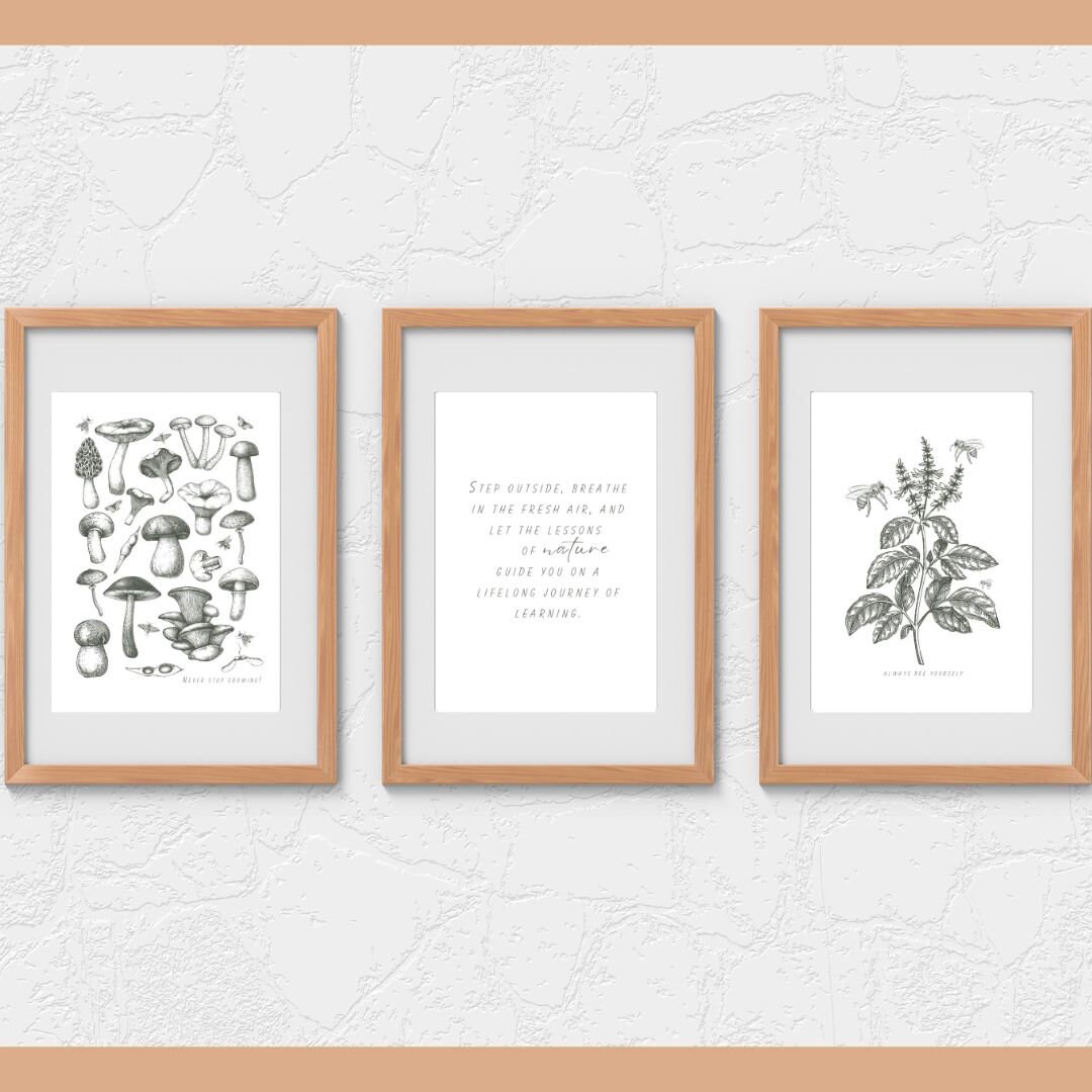 REGGIO INSPIRED Nature Classroom Posters Vintage X3 - Etsy