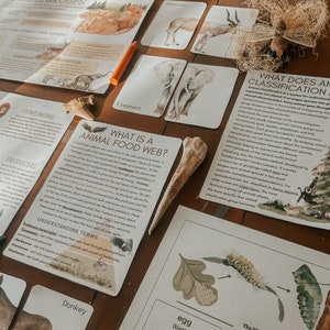 Animal Classification Mini Study Unit - Etsy