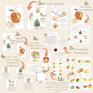 Apple Unit Study - Charlotte Mason - Nature Study - Etsy