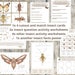 Mini Insect Unit - Nature Study - Etsy
