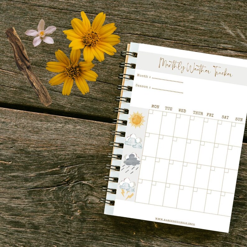 My Nature Journal - Etsy