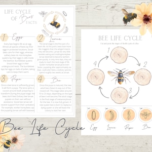 Natural Bee Study Printable Pack of 12 - Etsy