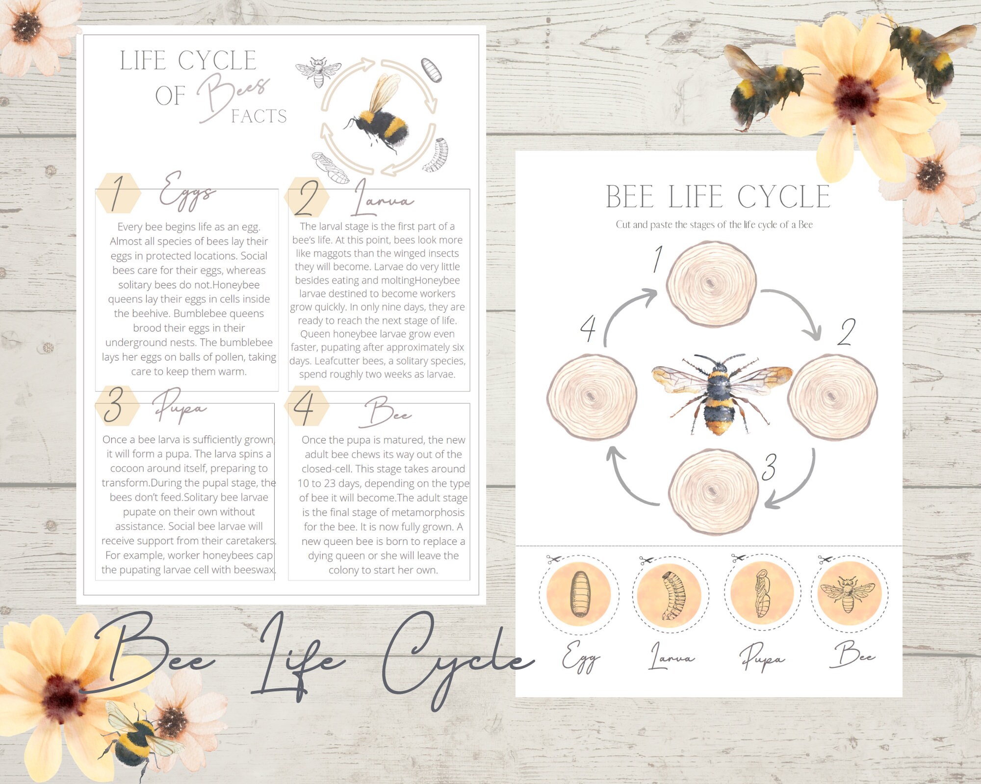 Natural Bee Study Printable Pack of 12 - Etsy