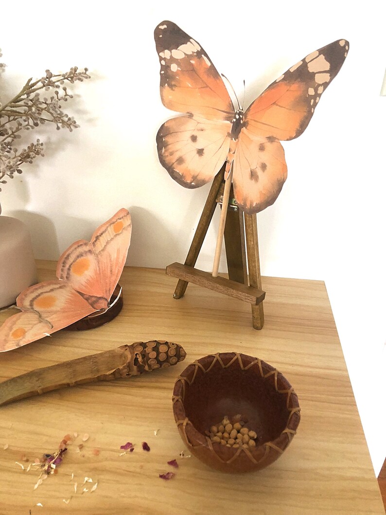 6x Jumbo Moth & Butterfly Props | Add Ons to Your Butterfly or Moth ...