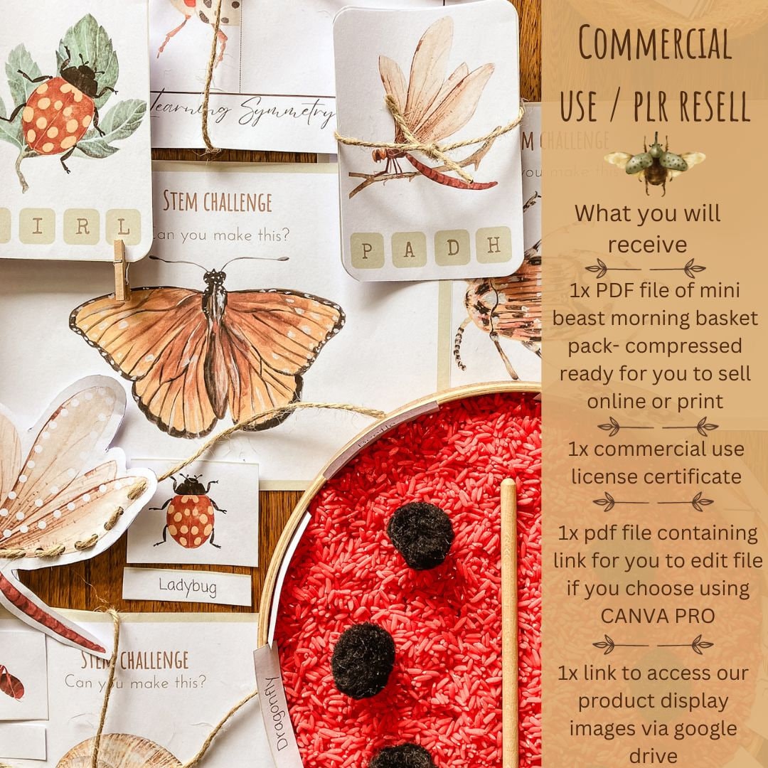 Commercial Use , Kids Early Learning Insect Pack , Resale Plr - Etsy