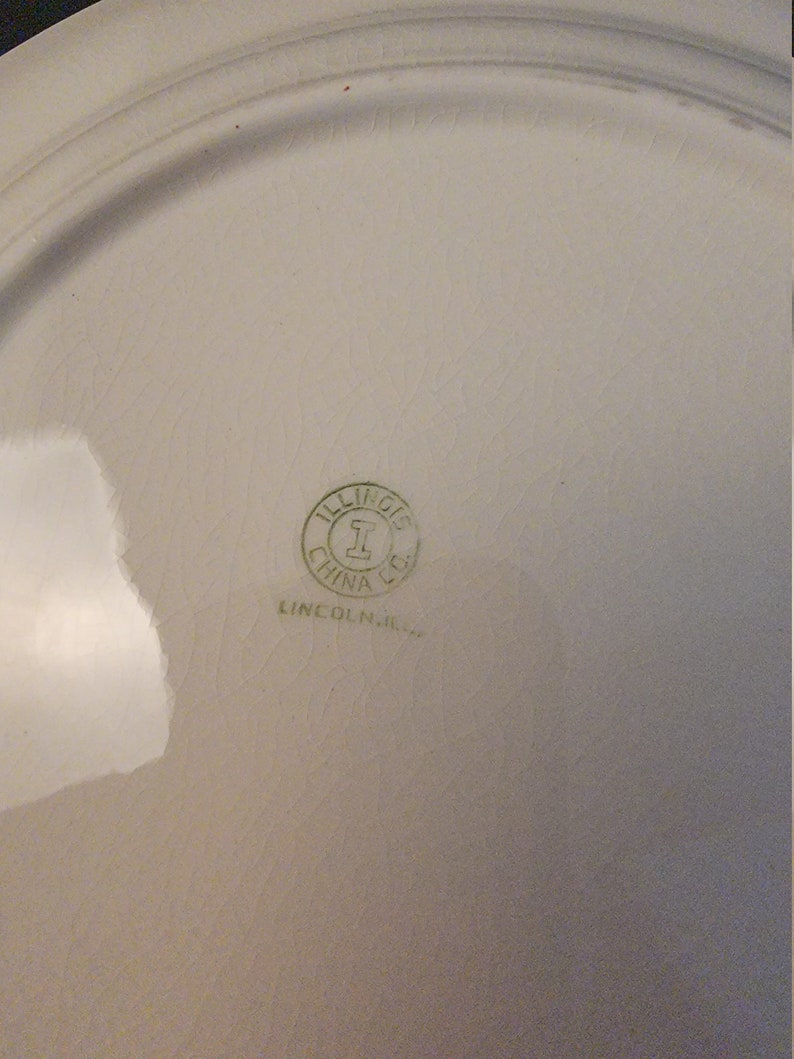 Beautiful Illinois China Plates (set of 5) - Etsy