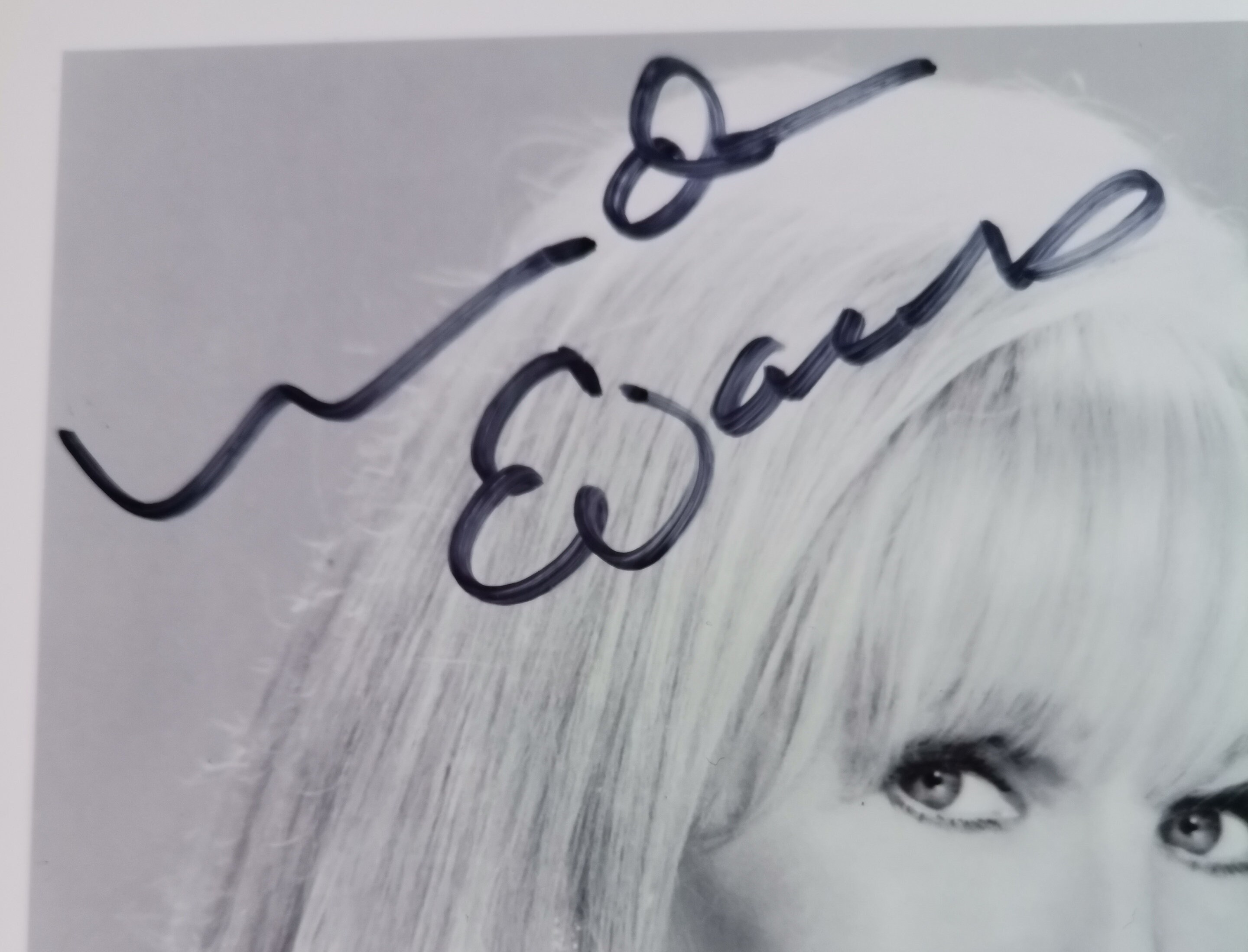Linda Evans, Big Valley, Signed Autographed 7x5 Photo - Etsy