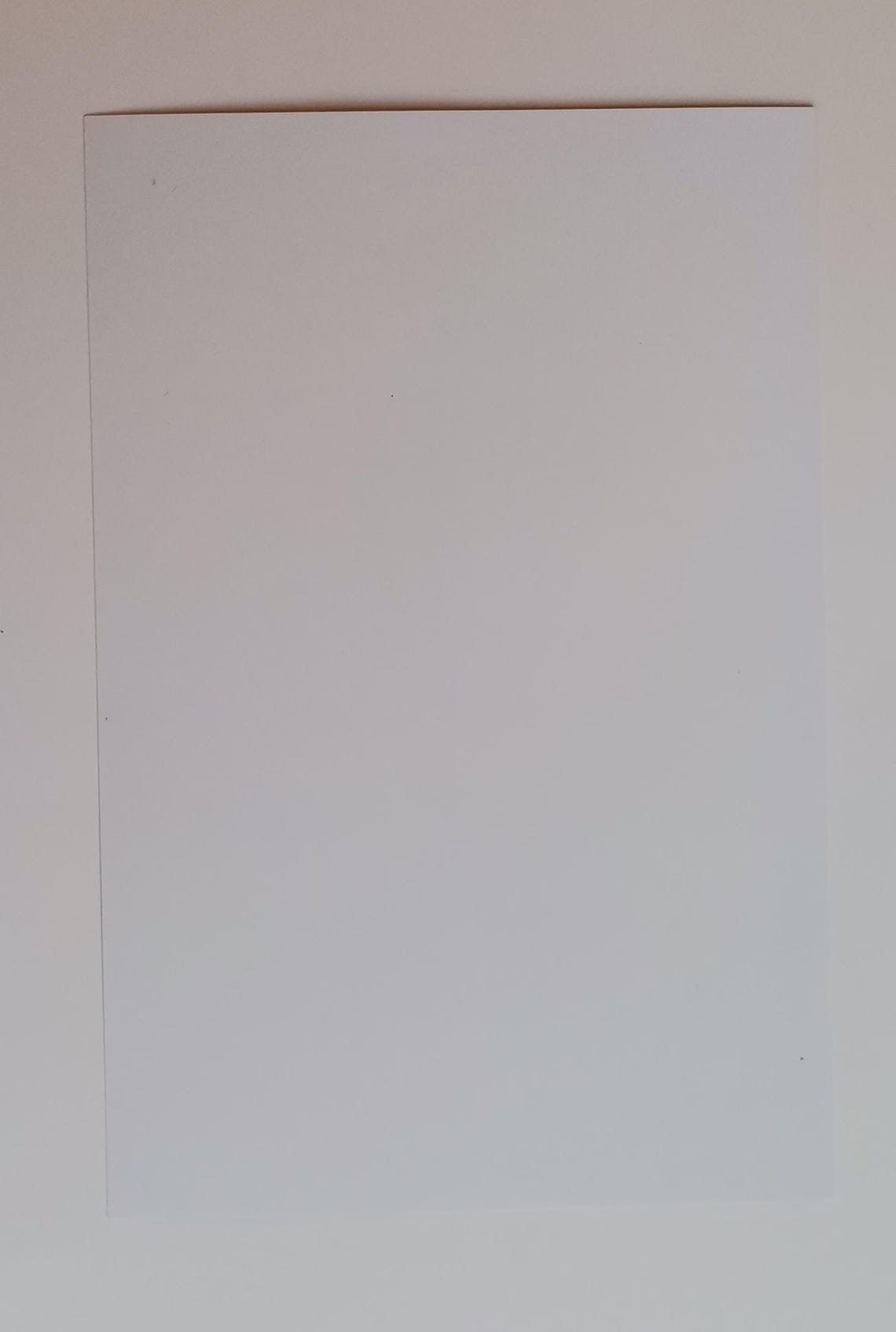 Stella Stevens, Signed Autographed Photo 6x4 - Etsy