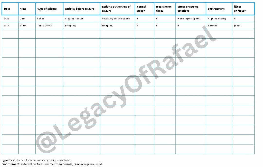 Seizure Log, Seizure Journal, Epilepsy Log, Fit Log, Fit Journal ...