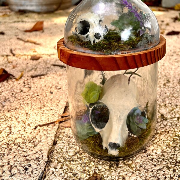 Skull Jar - Etsy