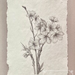Printable Wall Art | Title, Prairie Landscape Drawings Trio | by Artist ...