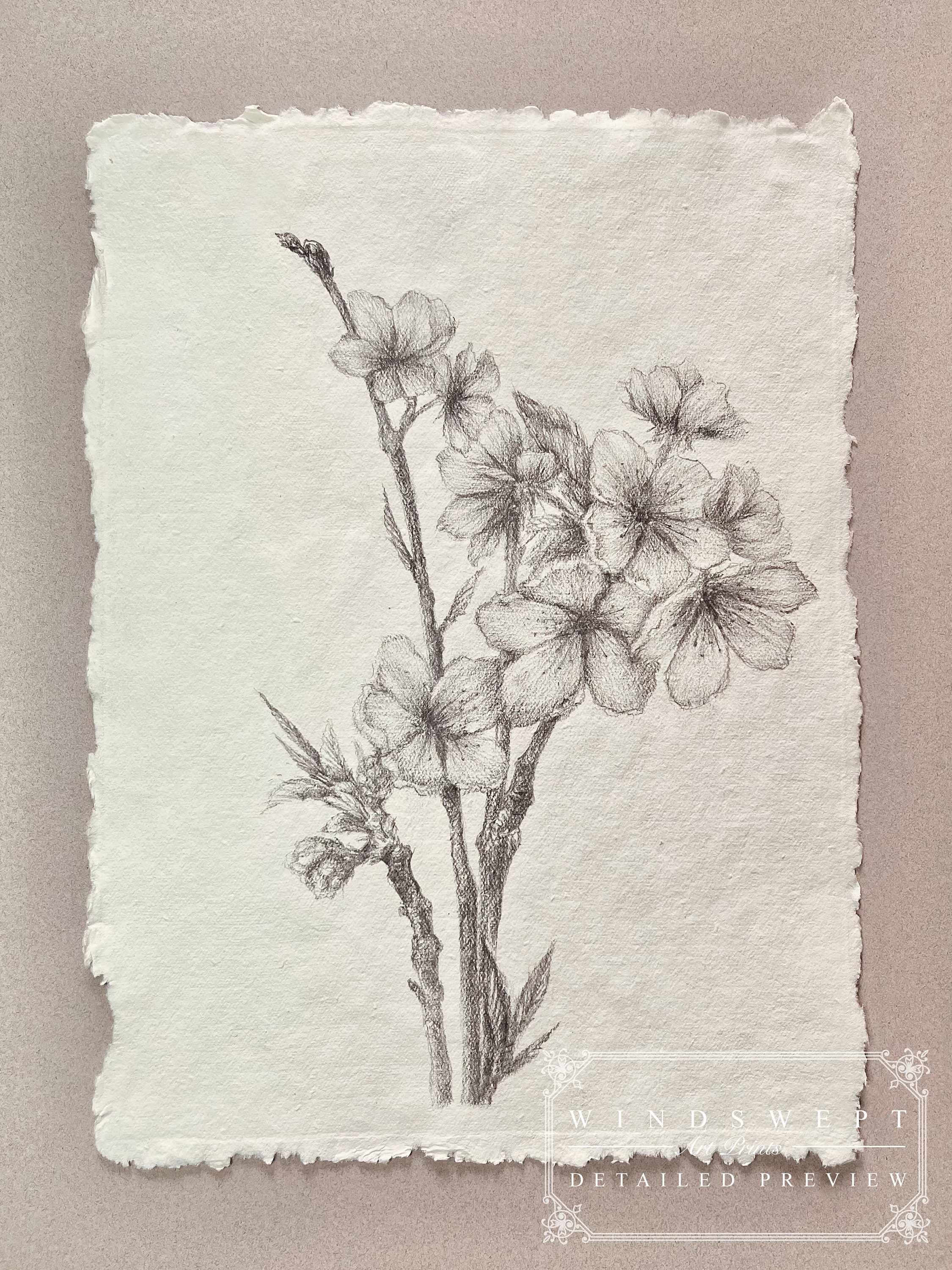 Printable Wall Art Title Prairie Landscape Drawings Trio - Etsy