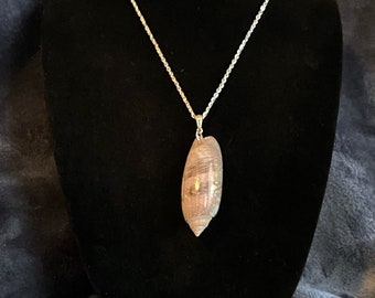 Olive Shell Necklace - Etsy