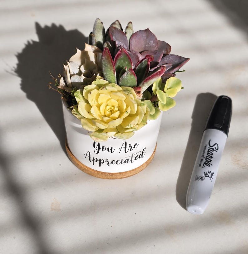 Client Appreciation Succulent Arrangement Custom Logo Plant Business ...