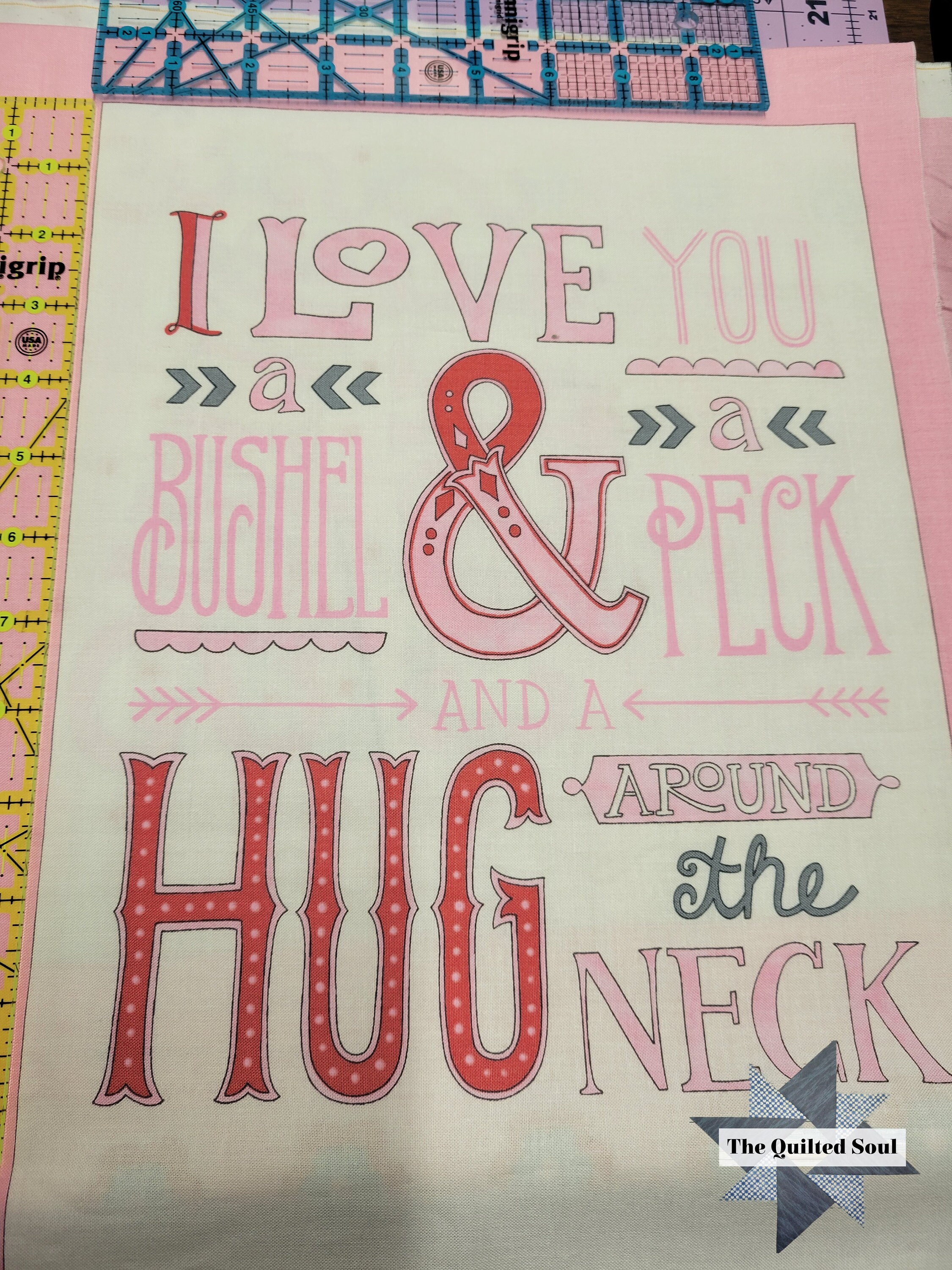Hugaboo by Deb Strain for Moda Quilt Panel - Etsy