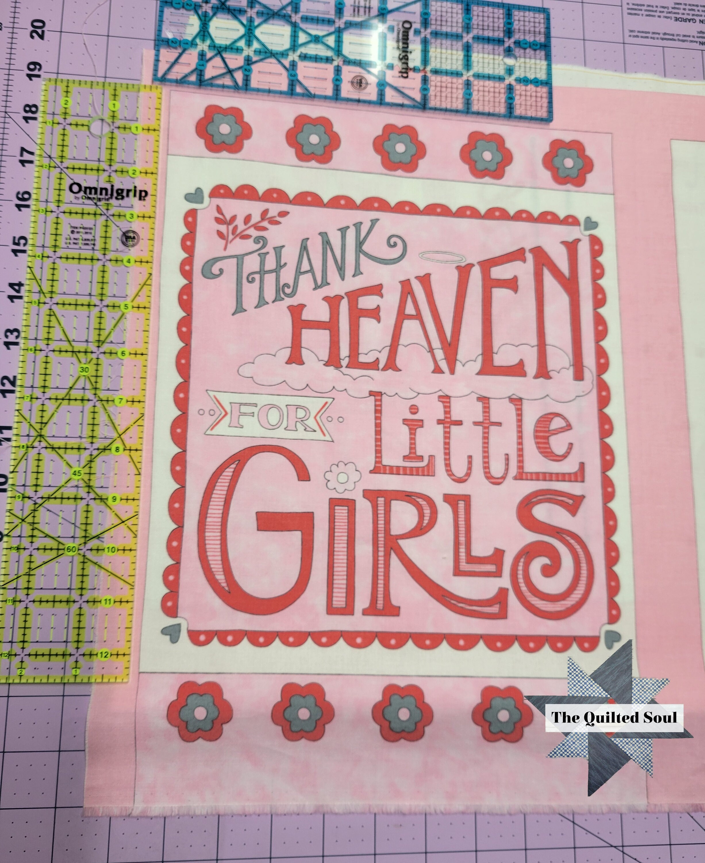 Hugaboo by Deb Strain for Moda Quilt Panel - Etsy