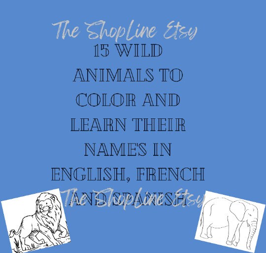 Pintable Drawing for Kids, Digital Files Wild Animals to Color and ...