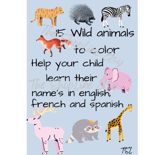 Pintable Drawing for Kids, Digital Files Wild Animals to Color and ...