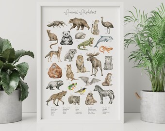 Animal Alphabet Watercolor Poster - Etsy