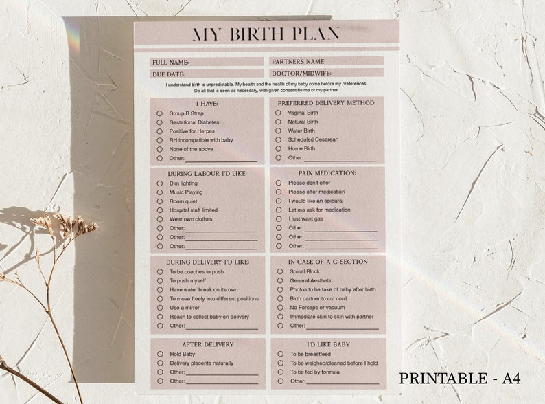 A4 Birth Planner, Printable, Hospital Bag Checklist, Birth Planner ...