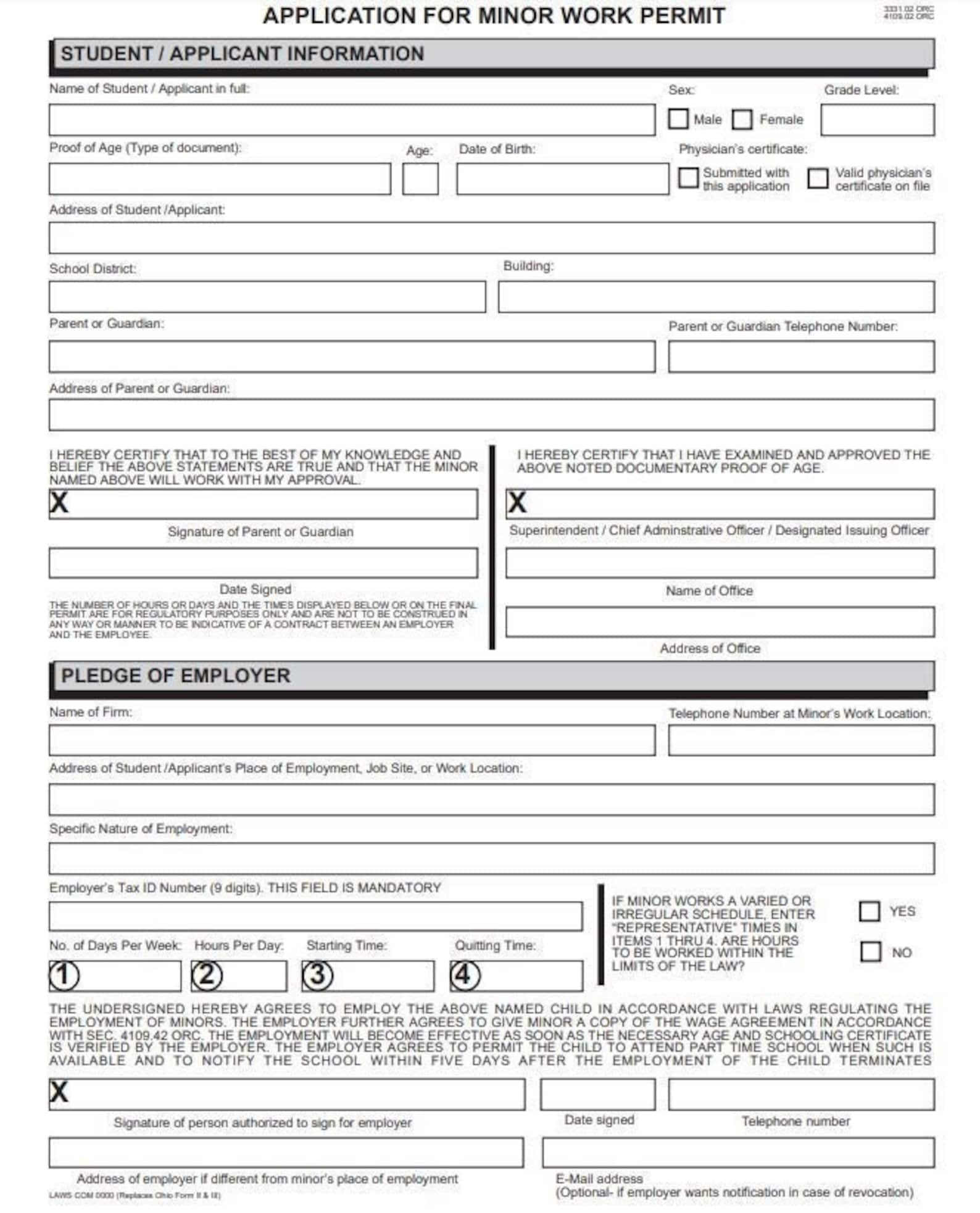 Minor Work Permit PDF Document - Etsy
