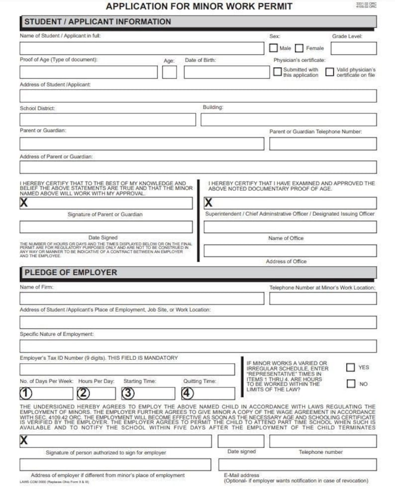 Minor Work Permit PDF Document - Etsy