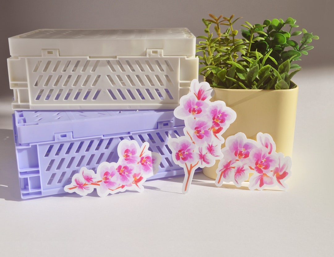 Pink Orchid Sticker Pack | Cute Flower Stickers | Pretty Floral ...