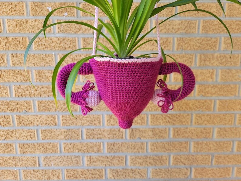 Uterus Hanging Planter 2022 - Etsy