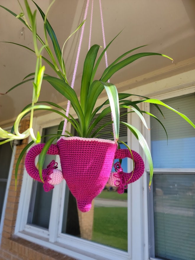 Uterus Hanging Planter 2022 - Etsy