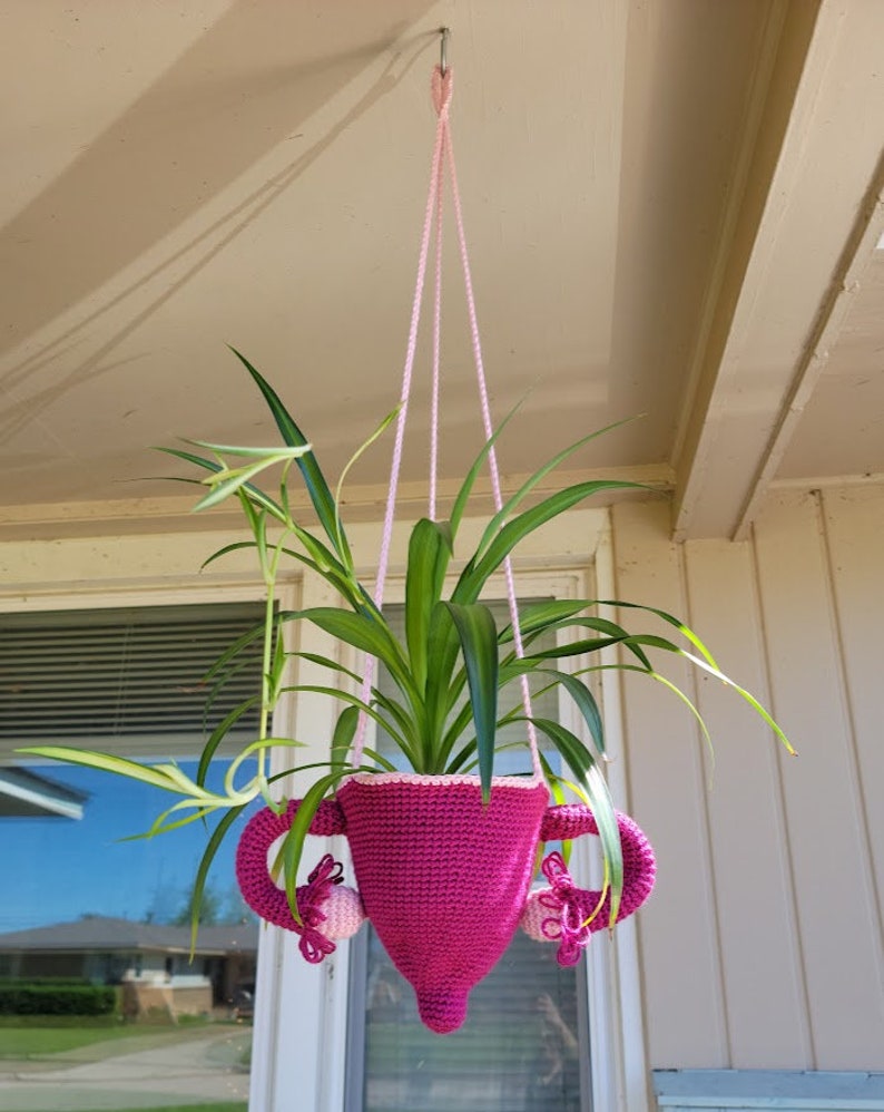 Uterus Hanging Planter 2022 - Etsy