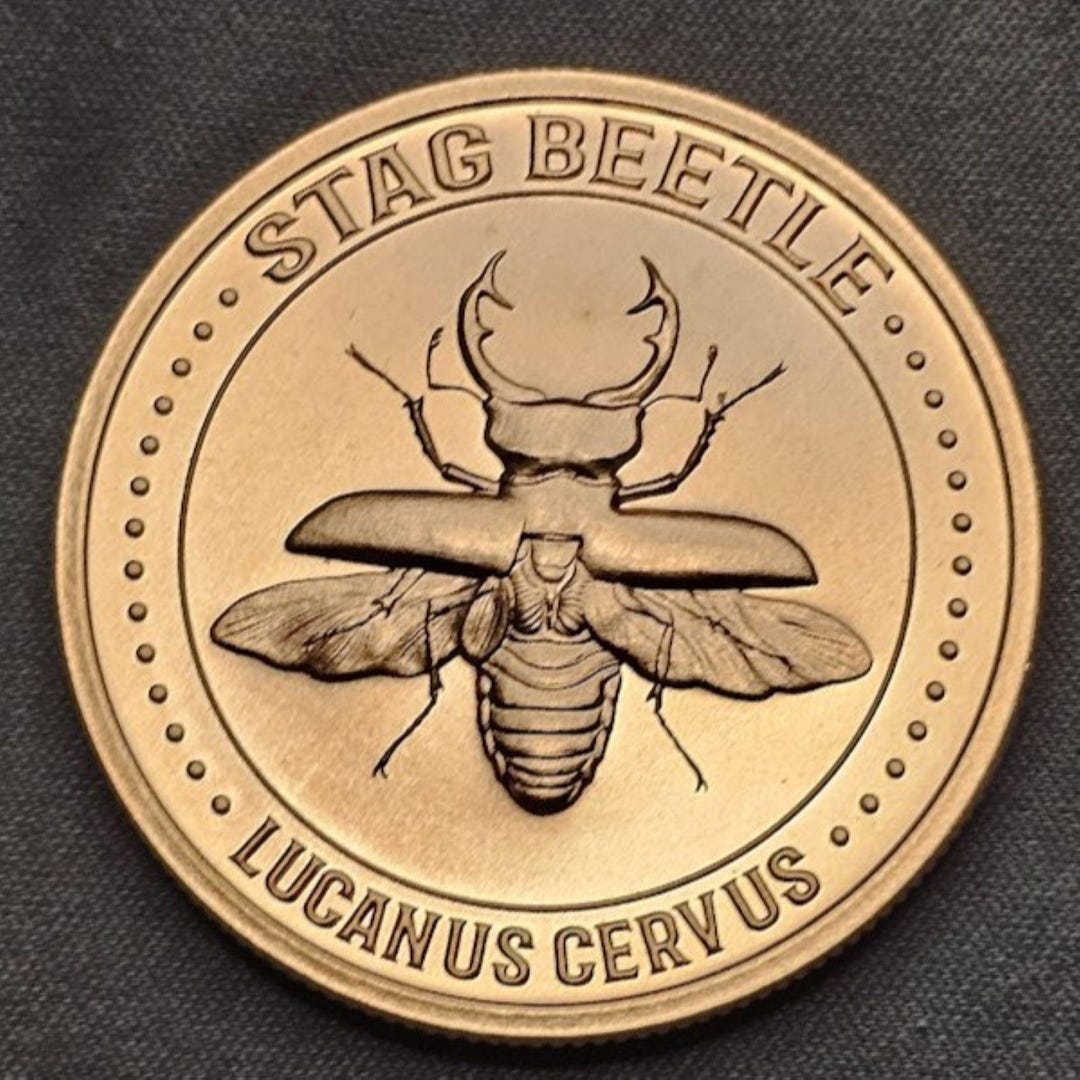 Copper Bug Series; Stag Beetle; 1 AVDP Oz .999 Fine Copper Art Round - Etsy