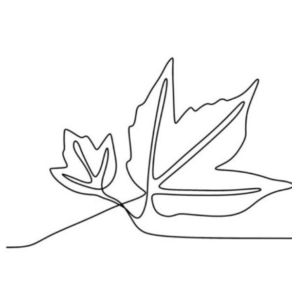 Maple Leaf Line Art - Etsy