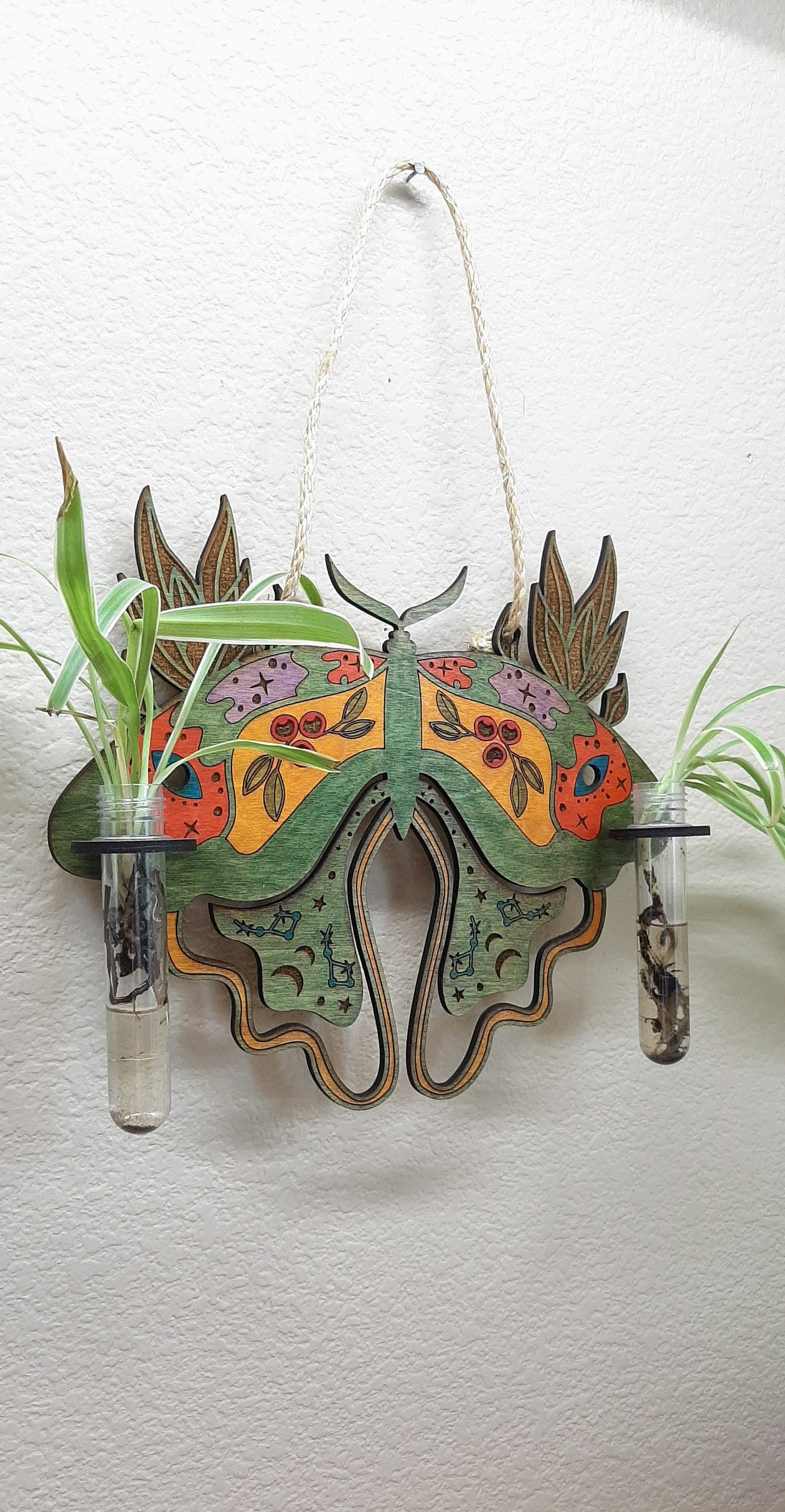 Boho Luna Moth Propagation Station Laser Cutting Files, Plant Wall ...