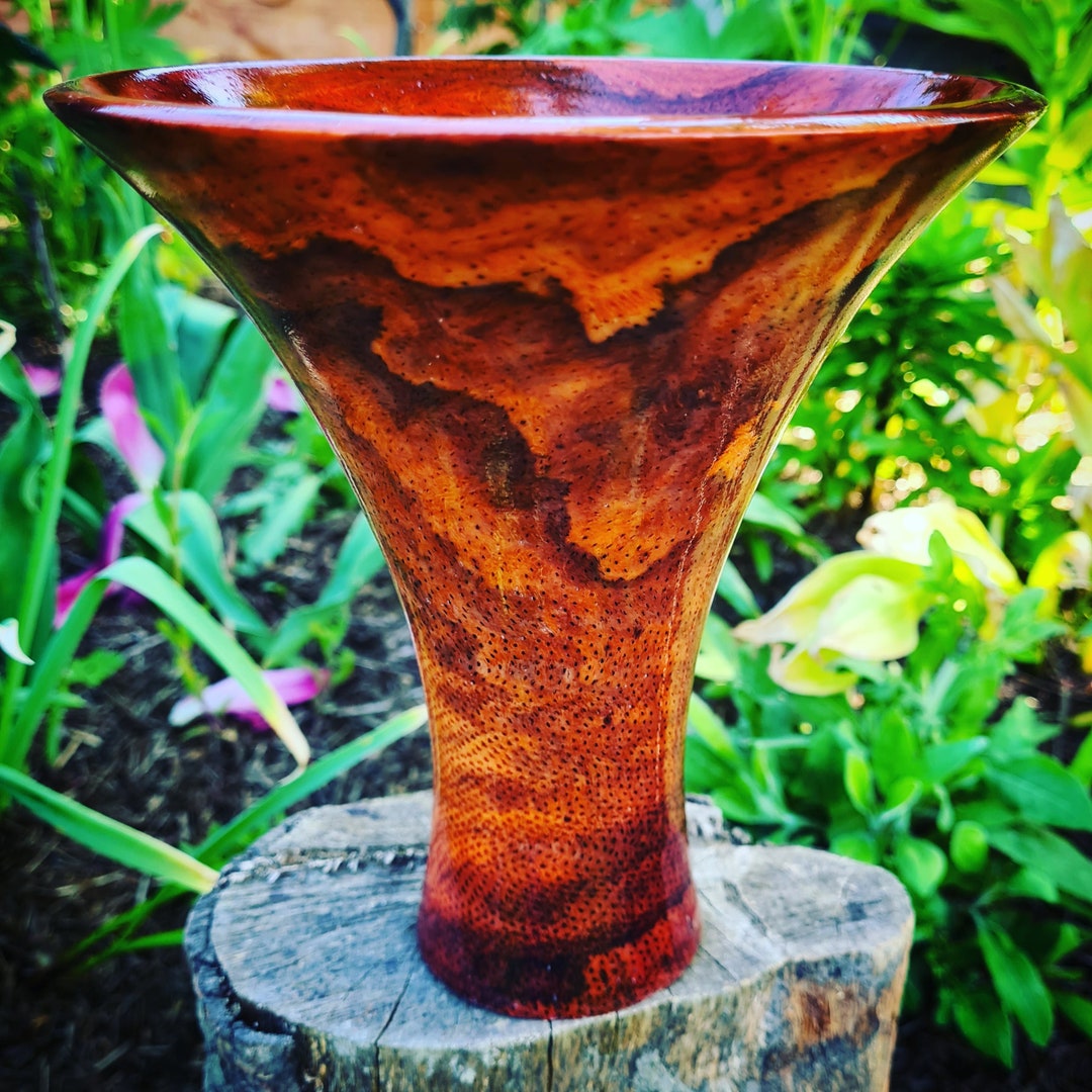 Tornado Vase Grass Tree Root Hand Turned Coloured Wood Vase Etsy