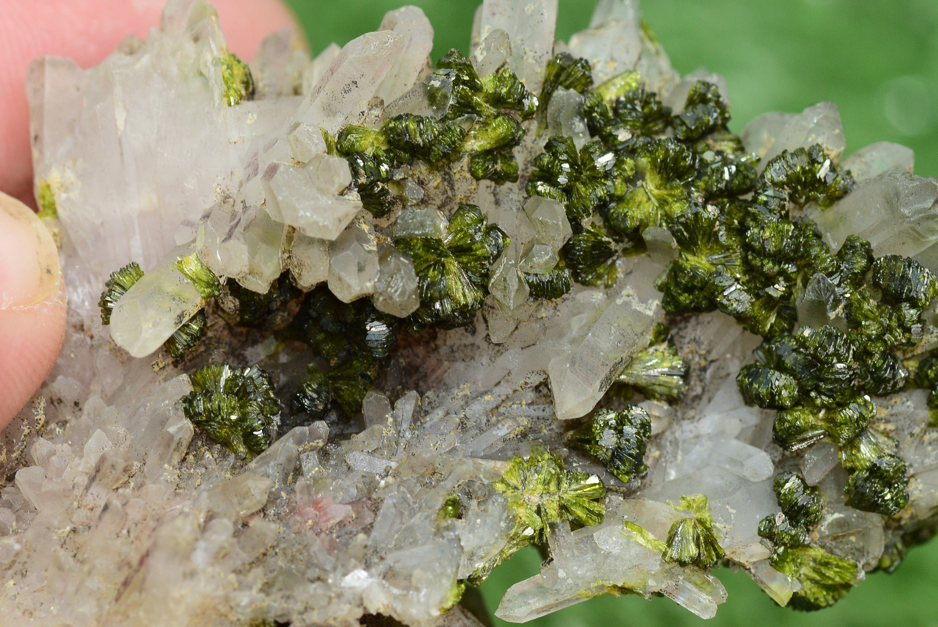 Stunning Epidote in Quartz Cluster From Imilchil, Morocco A Unique ...