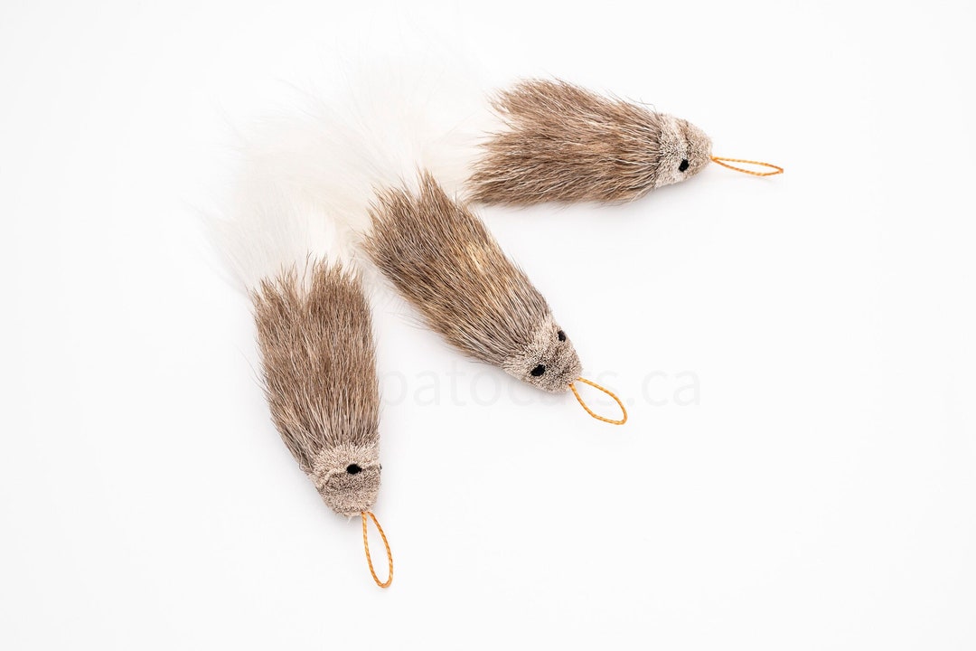 White-tailed Brown Guppy Fish High Quality Natural Deer Hair Fur Cat ...