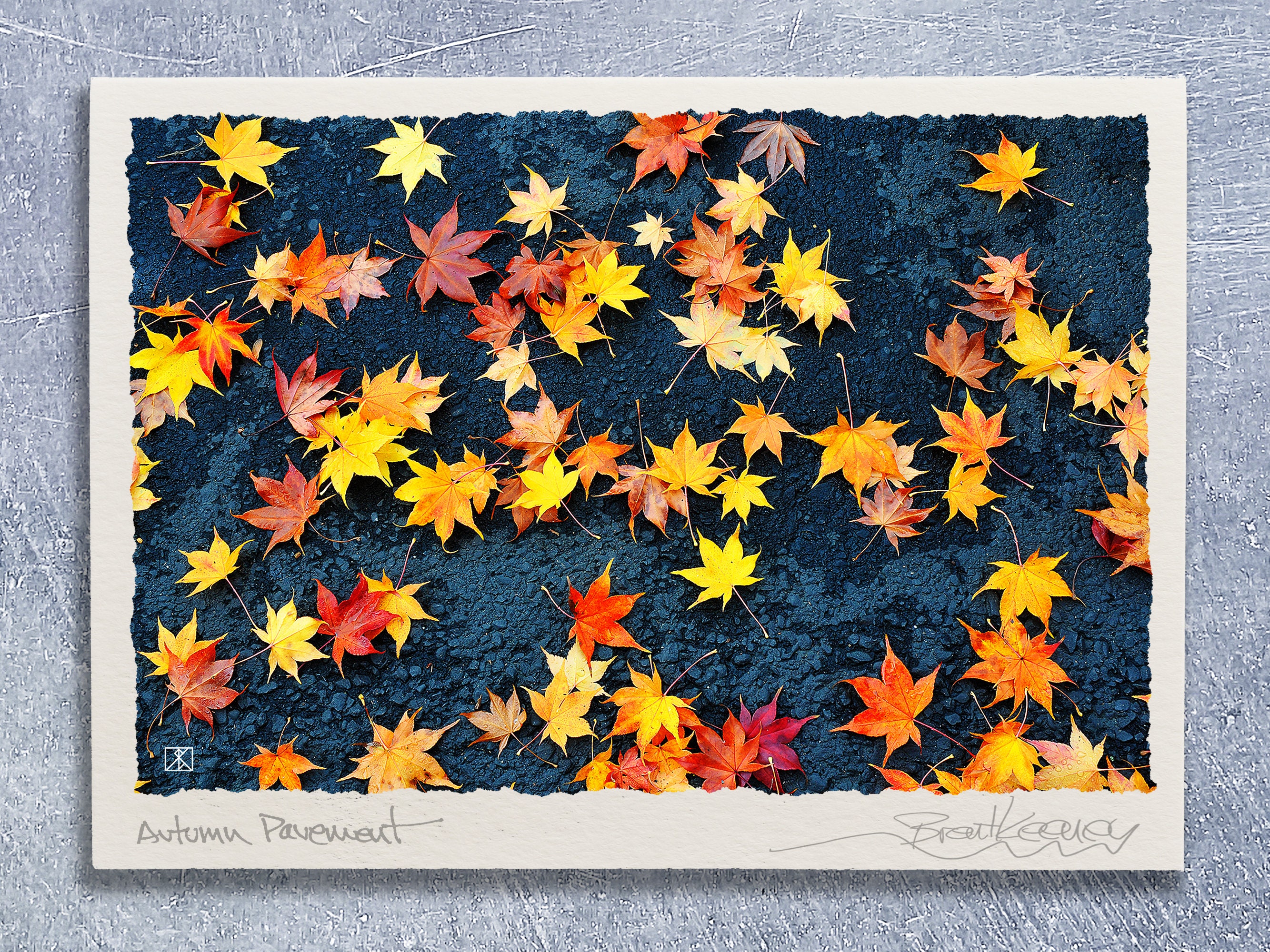 Blank Cards Fall Foliage - Etsy