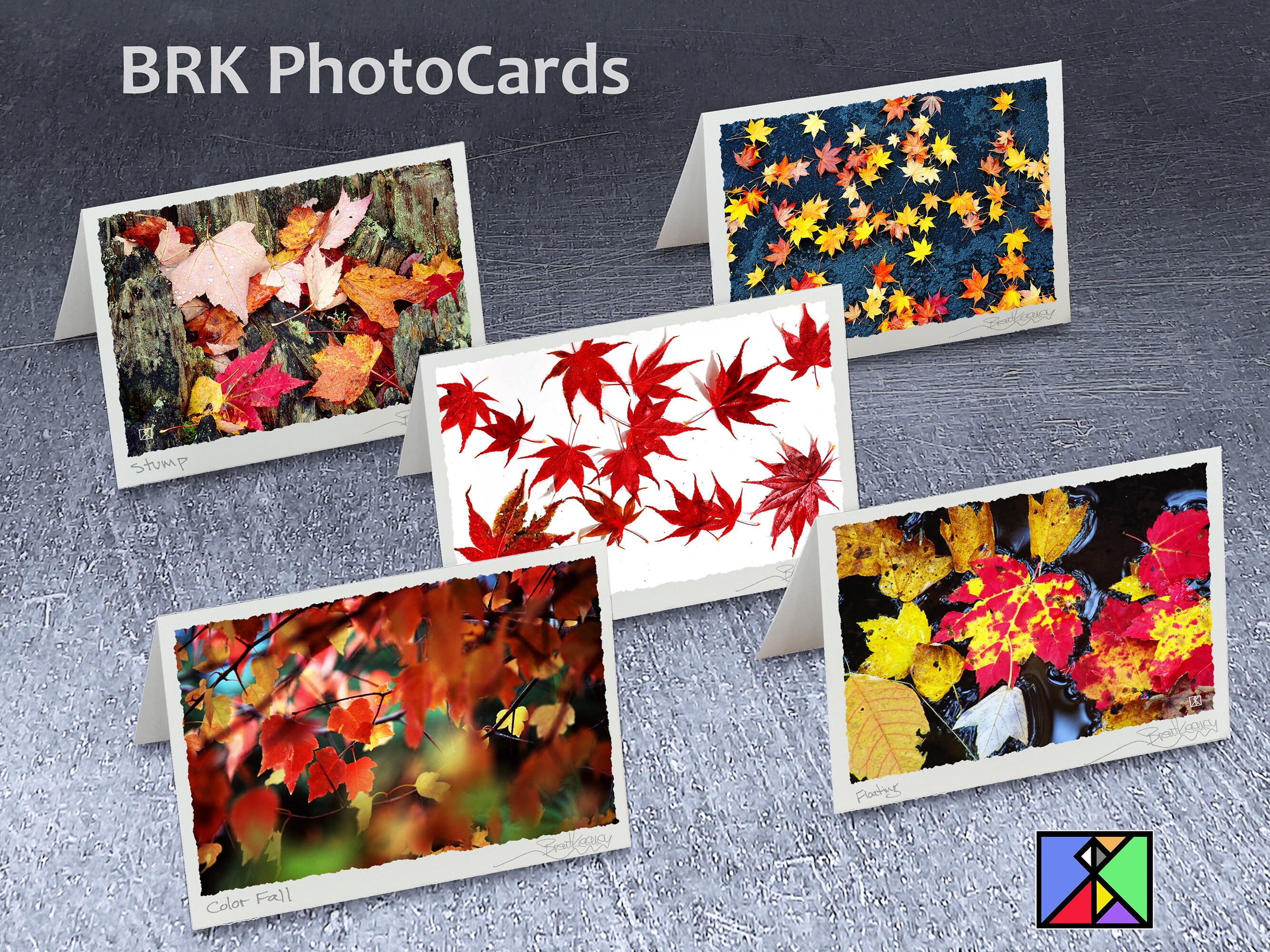 Blank Cards Fall Foliage - Etsy