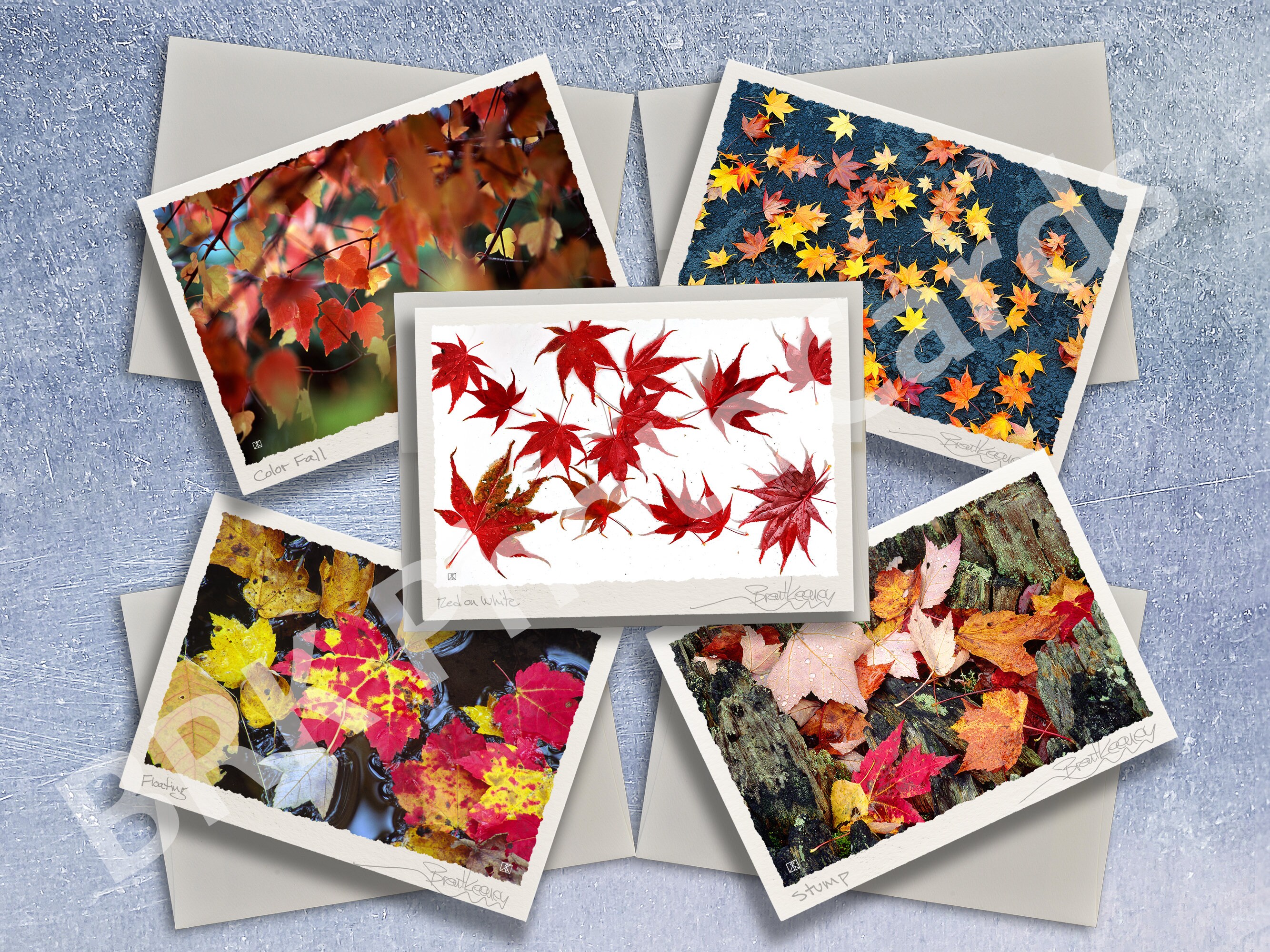 Blank Cards Fall Foliage - Etsy