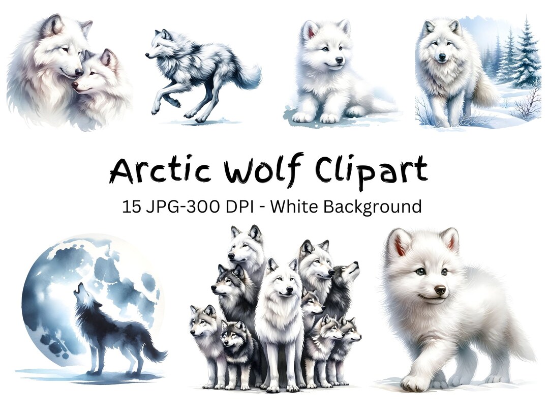 Arctic Wolf Clipart 15 High Quality JPG Wall Art Paper - Etsy