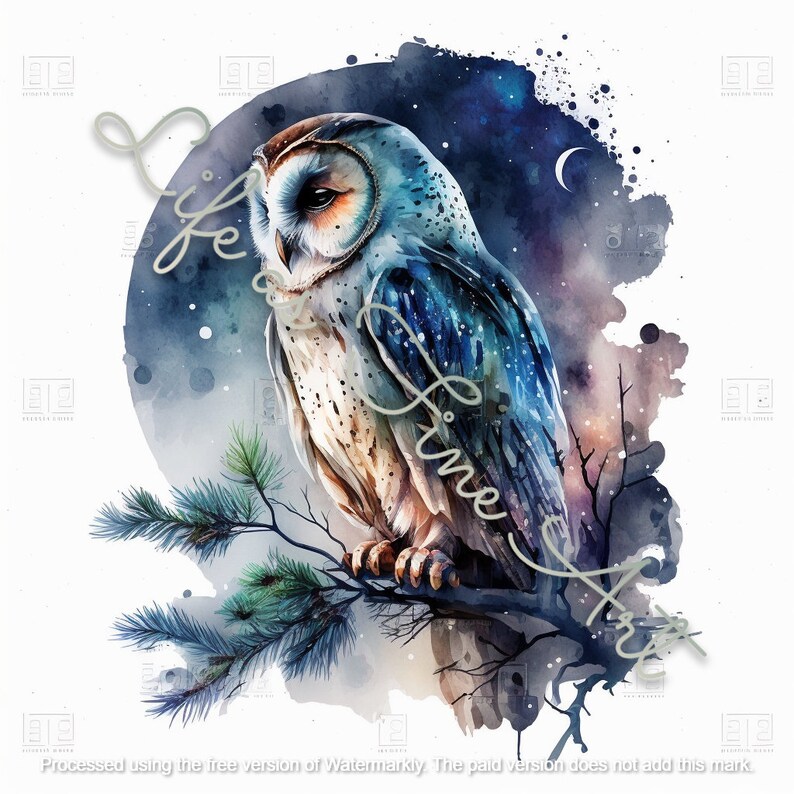 Celestial Owls Clipart - Galaxy Magic Fantasy Owl at Night Clip Art in ...