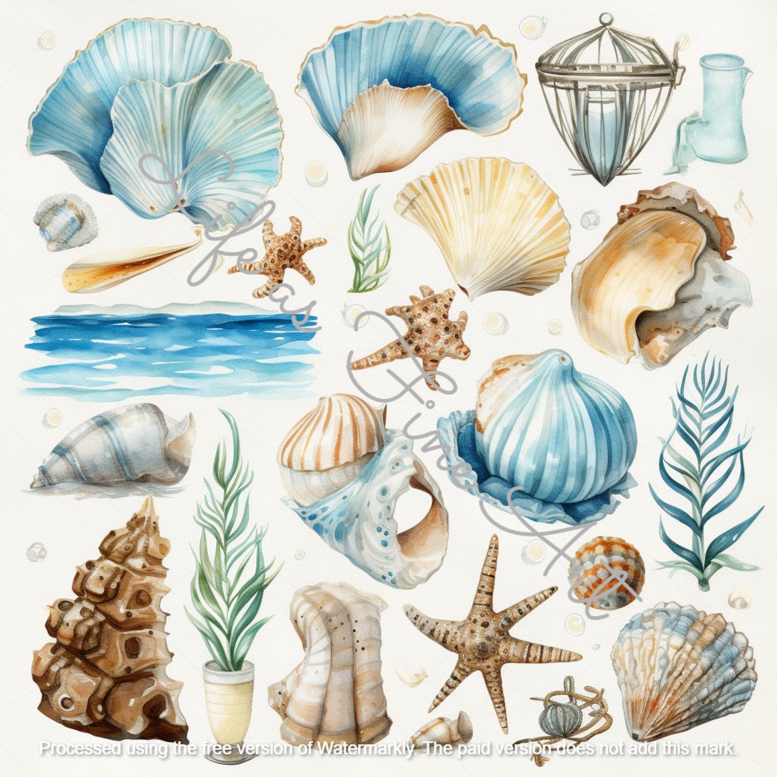 Coral and Seaweed Watercolor Clipart, Ocean Wildlife, Seaweed, Sea ...
