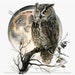 Celestial Owls Clipart - Galaxy Magic Fantasy Owl at Night Clip Art in ...