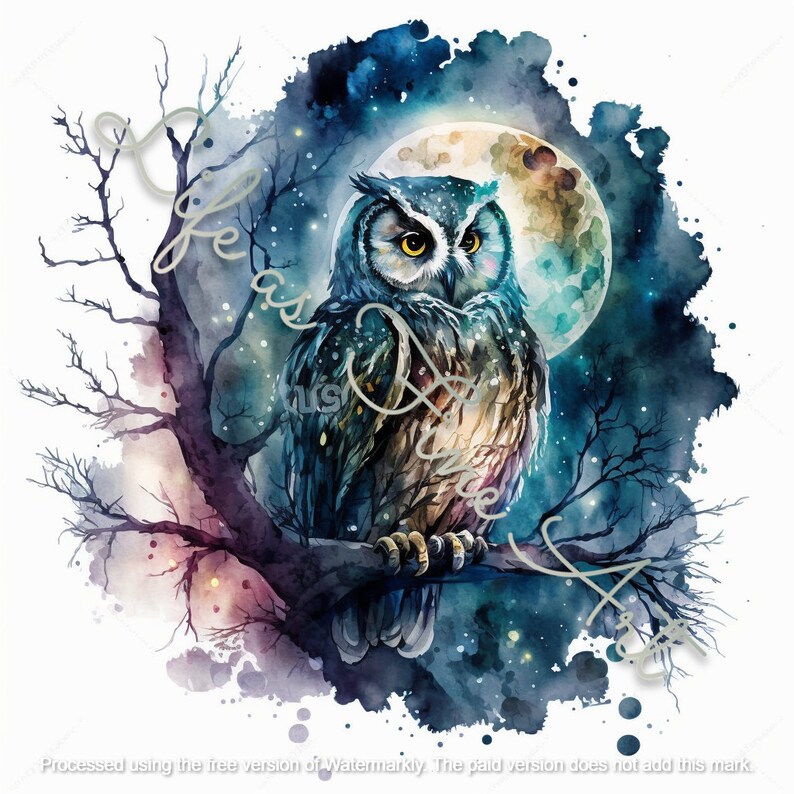 Celestial Owls Clipart - Galaxy Magic Fantasy Owl at Night Clip Art in ...