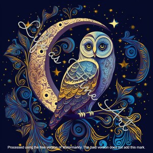 Celestial Owls Clipart - Galaxy Magic Fantasy Owl at Night Clip Art in ...