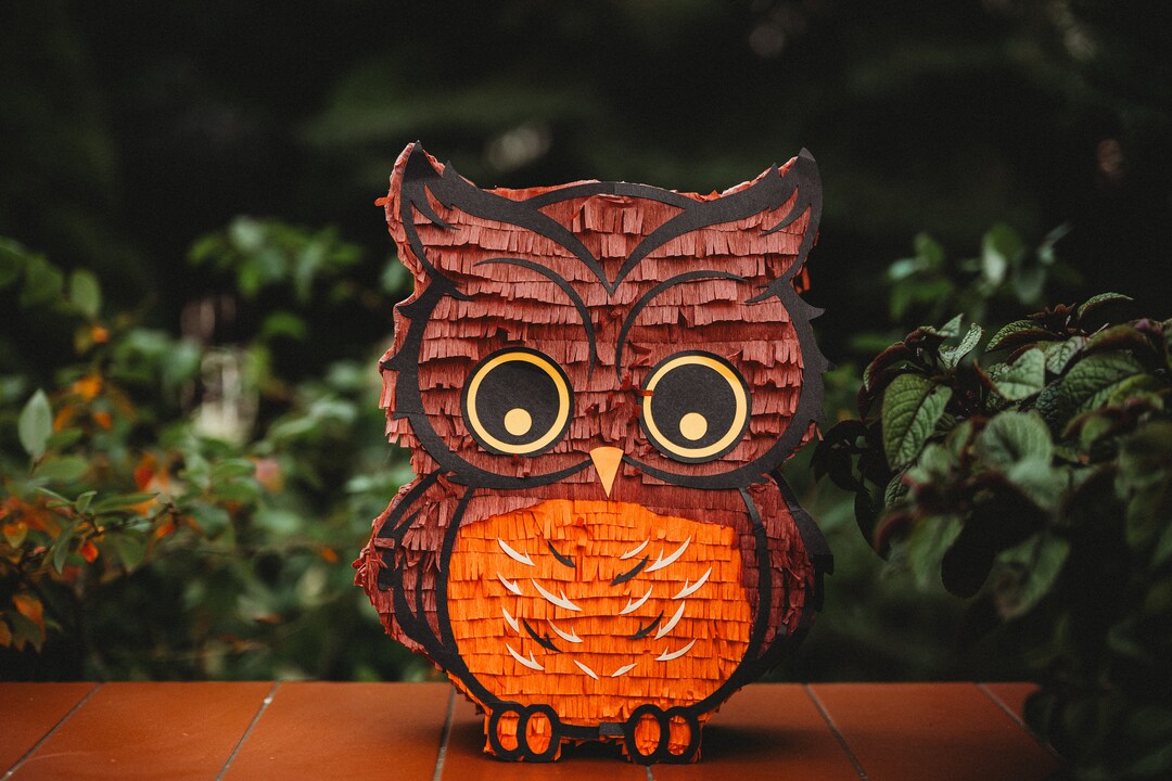Owl Piñata, Woodland Party, Birthday Piñata for Kids - Etsy