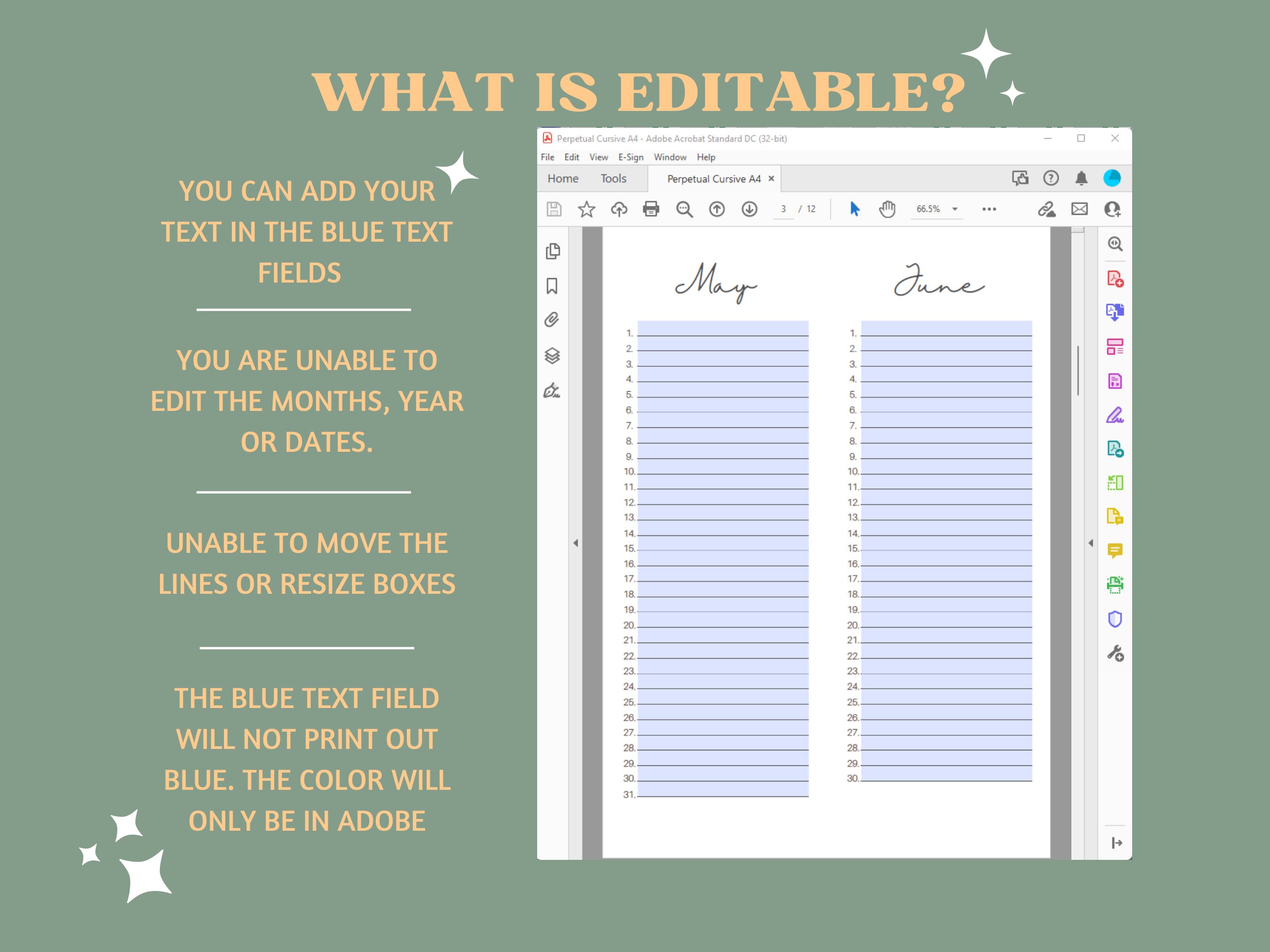 Printable Editable Perpetual Calendar Planner Instant Download Letter ...
